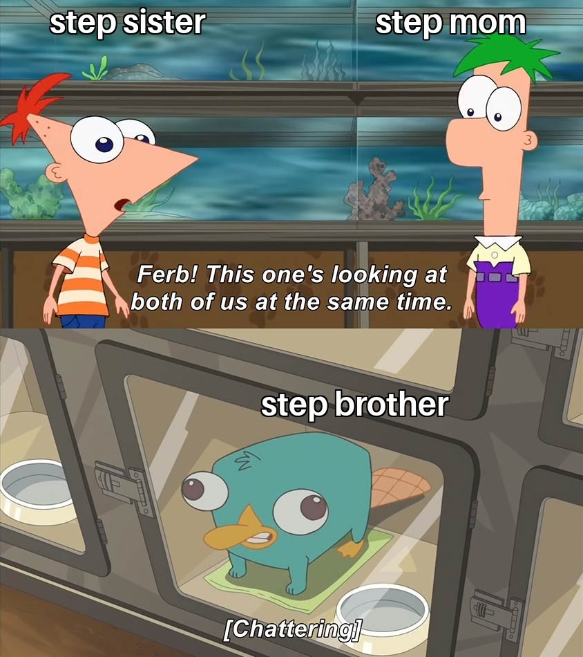 Step Brother I m Stuck Meme By StarWarskid 6420 Memedroid