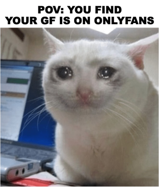 Crying cat - Meme by HenryCat :) Memedroid