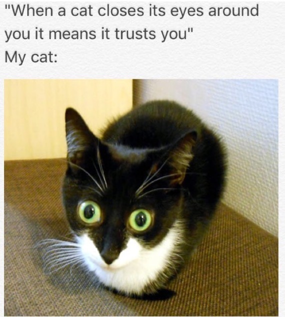 LOOKING IN YOUR SOUL - Meme subido por Isaac_Clarke. :) Memedroid