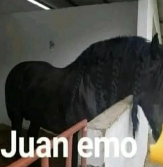 Juan Meme Subido Por Kafu1530 Memedroid