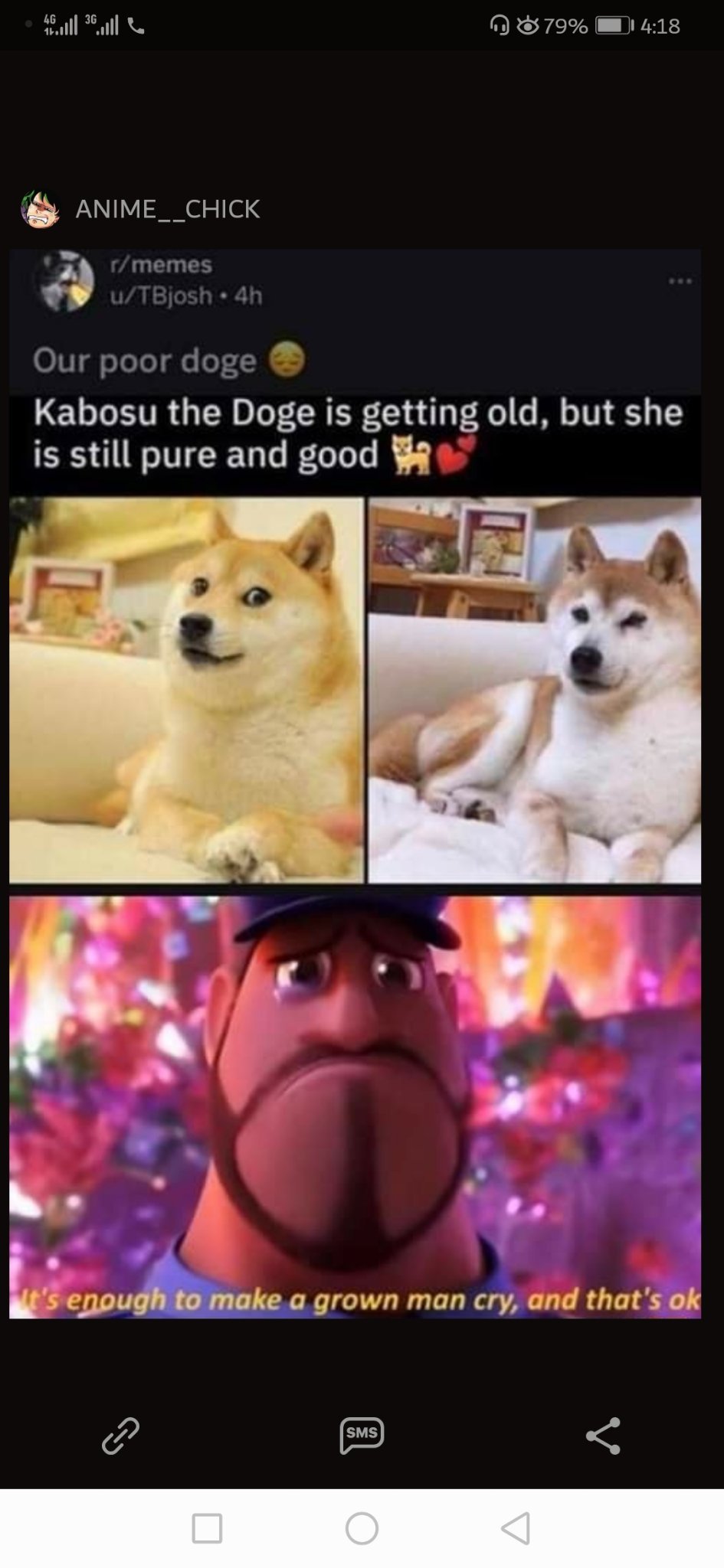 This dog is getting older - Meme by ahadsy5 :) Memedroid