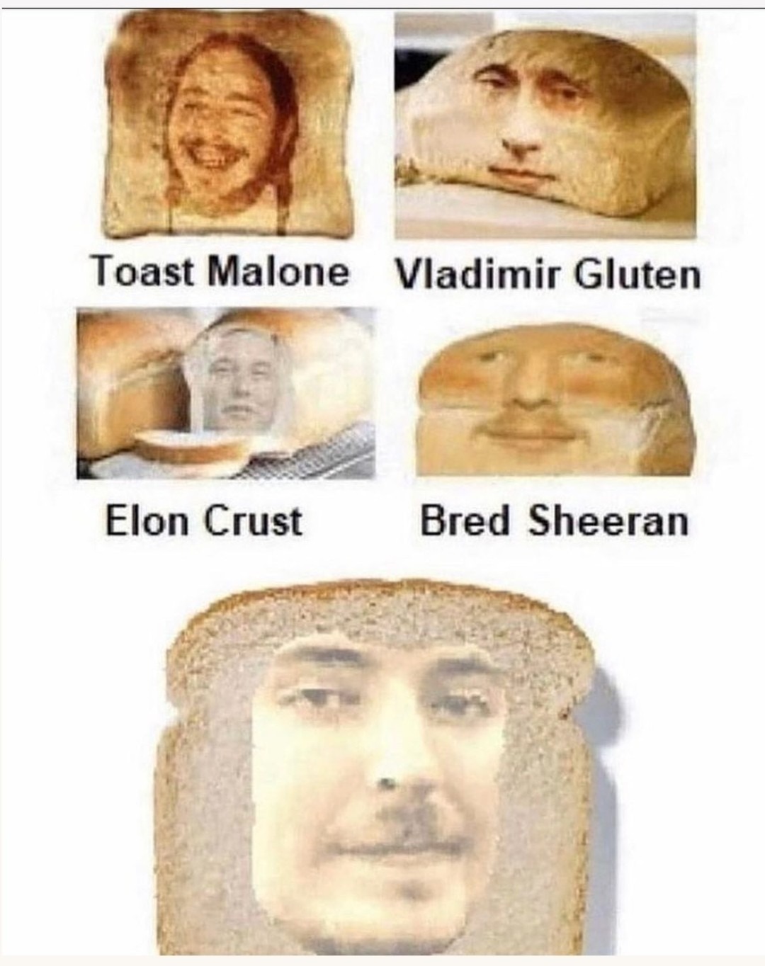 Mr. Yeast - Meme by Kmlmhta :) Memedroid