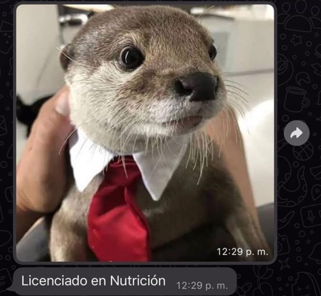 Dr.Nutriales - Meme subido por Mario9618 :) Memedroid