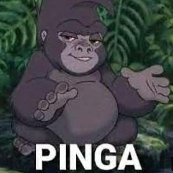 Pinga - Meme subido por Alexlol120 :) Memedroid