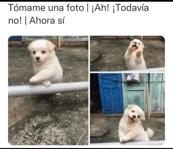 O my god:) - Meme subido por Urywaz :) Memedroid