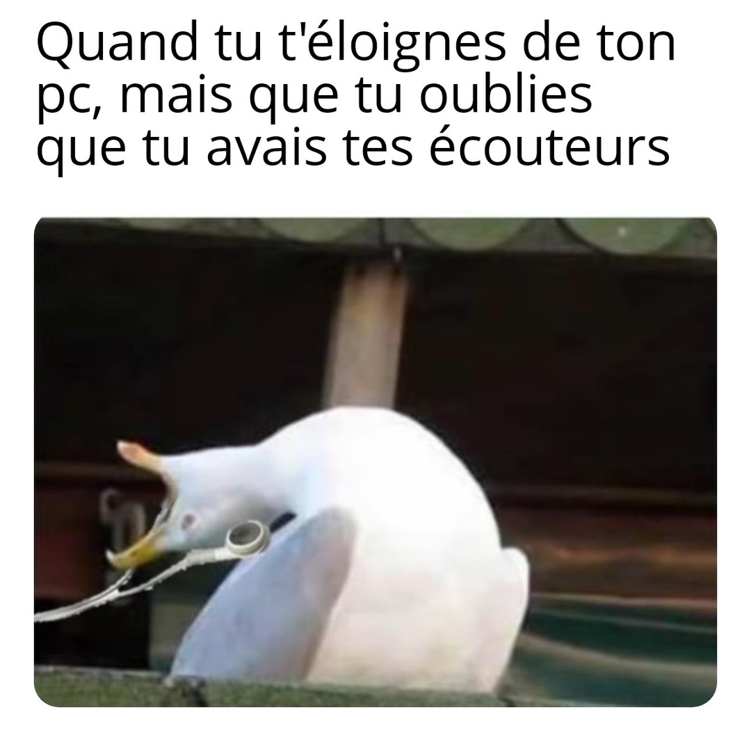 Ah la pute ! - Meme subido por SuitSzer :) Memedroid