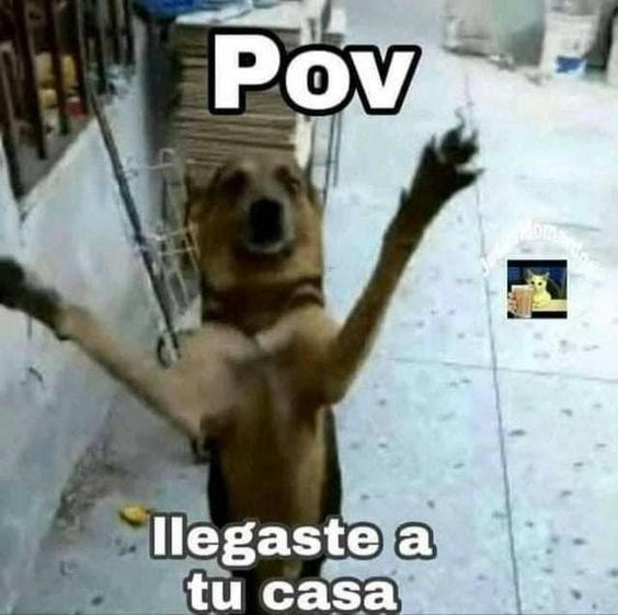 y si. - Meme subido por dripboyzz :) Memedroid