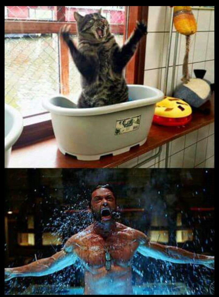 Como te ves VS como crees que te ves - Meme subido por becky.pinkye4 ...