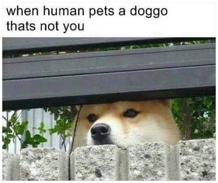 Betrayal - Meme by abzahmed :) Memedroid