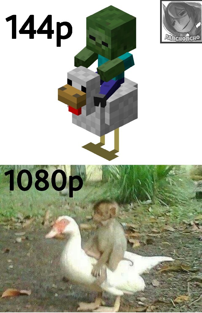 HD - Meme subido por Panchoncho :) Memedroid