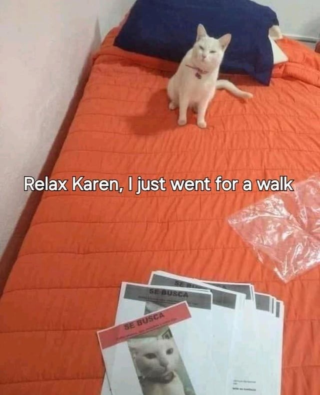 The best Walk memes :) Memedroid