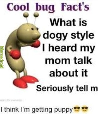 I hope I'm getting a new puppy - Meme by floridian_potato :) Memedroid