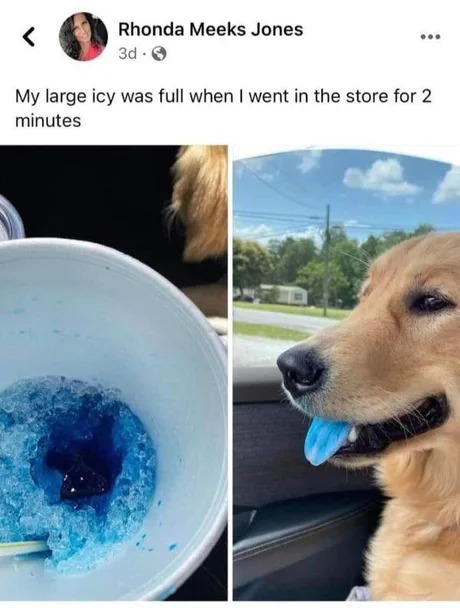 The best Sus memes :) Memedroid