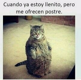 Bueno... Está bien - Meme subido por angelos :) Memedroid