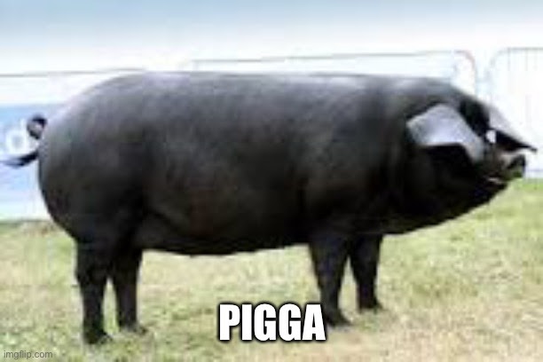 Pee Wee The Black Pig !!! It's What "Kwanzaa Clause" Rides !!! Unga ...