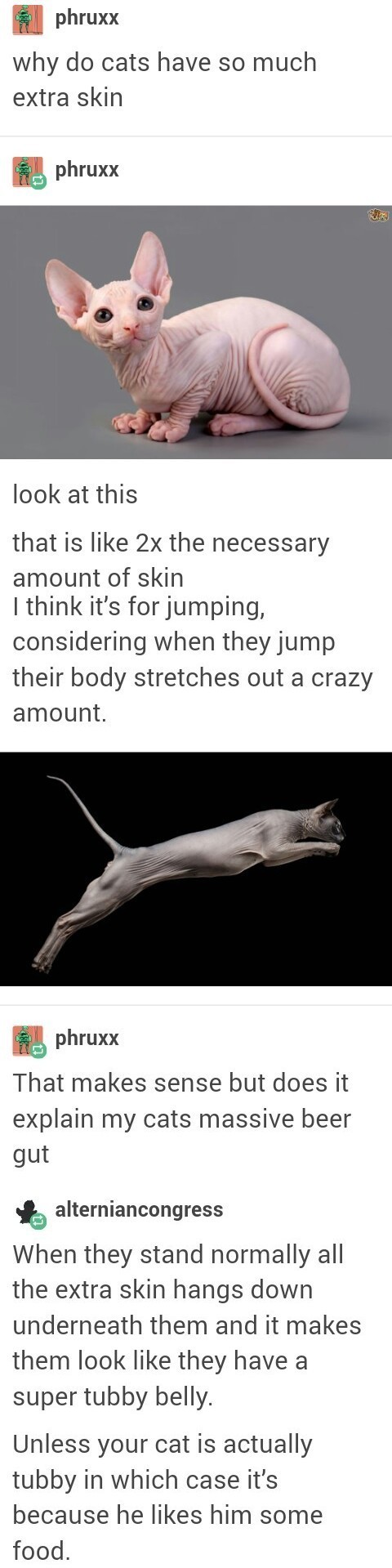 Manko chan - Meme by shzball :) Memedroid