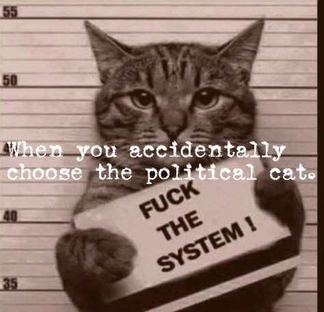 Political cat - Meme by deleted1277621 :) Memedroid
