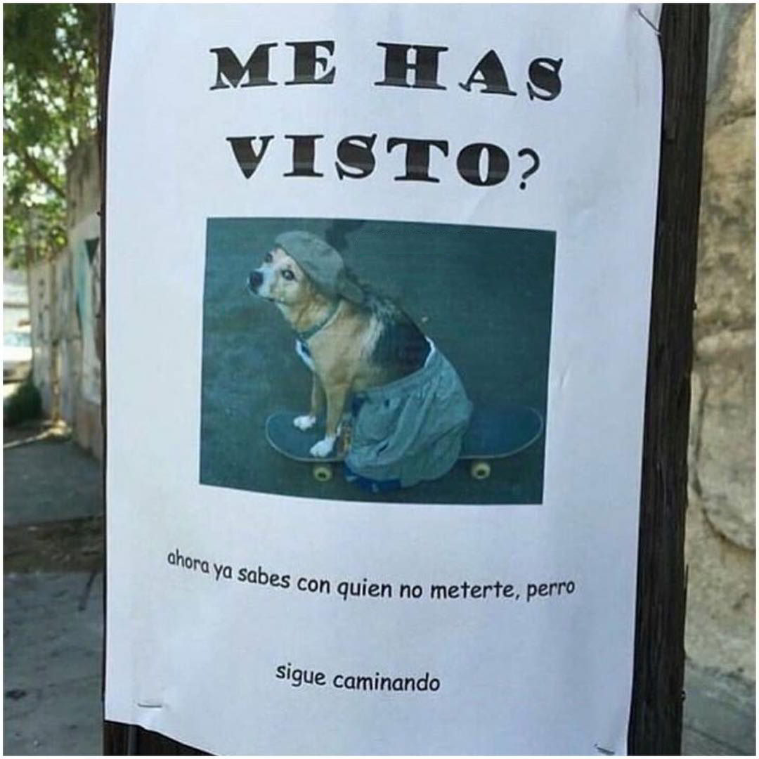 El prro del bryan :v - Meme subido por Torlito :) Memedroid