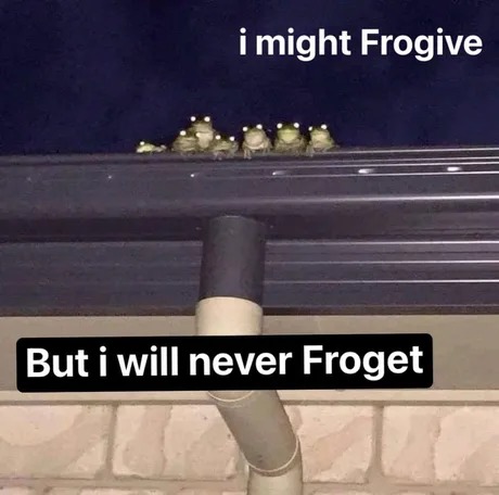 The best Frog memes :) Memedroid