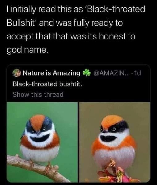 The Latest Memes :) Memedroid