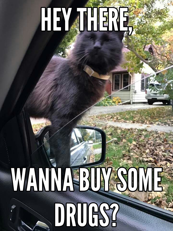 What's your favorite color? - Meme by x06112010x :) Memedroid