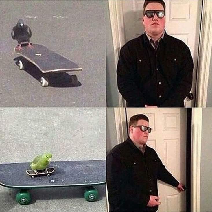 Lulz - Meme subido por CerdoDeLaPizza :) Memedroid