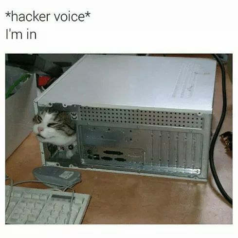 Cut the red wire - Meme by dthadoc :) Memedroid