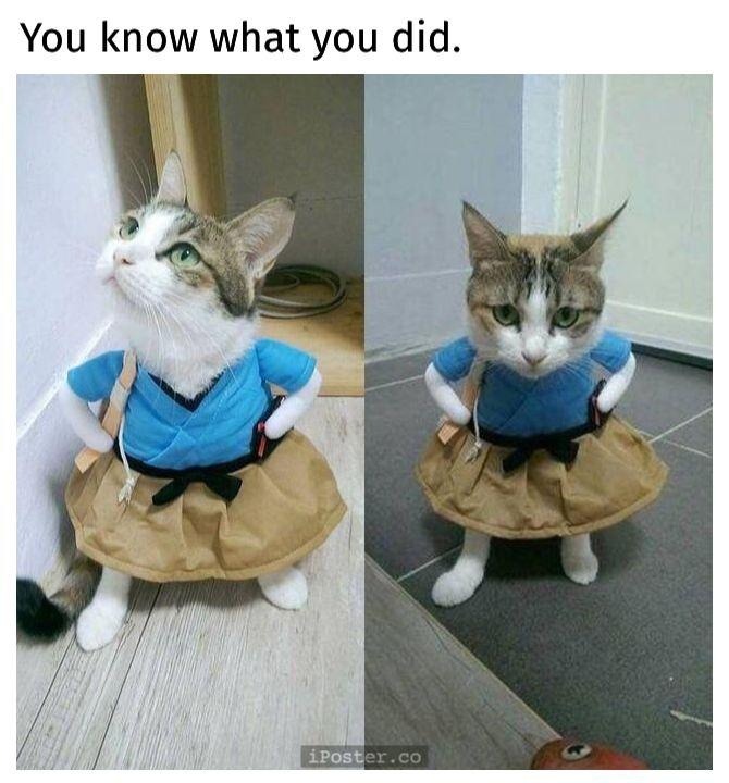 Bien joué - Meme by Machin_demoniaque :) Memedroid