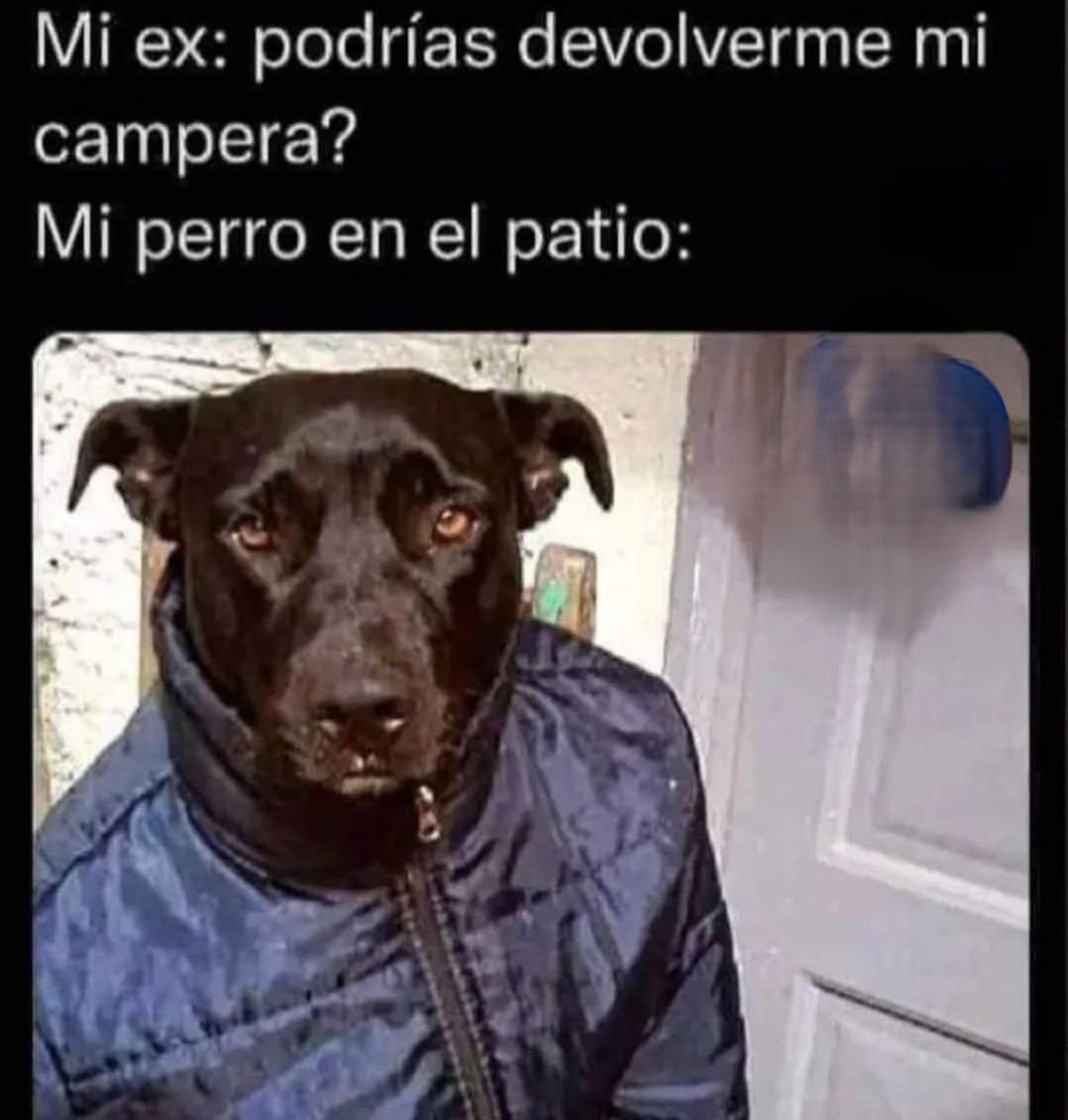 Top memes de Perros en español :) Memedroid