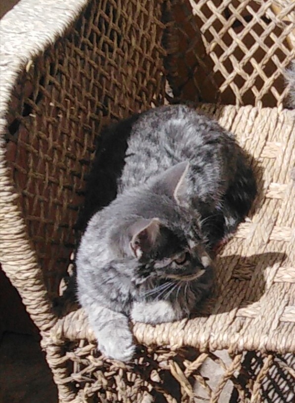 Top memes de Jejd en español :) Memedroid