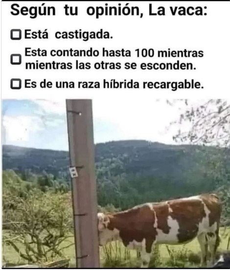 Top memes de Vaca en español :) Memedroid