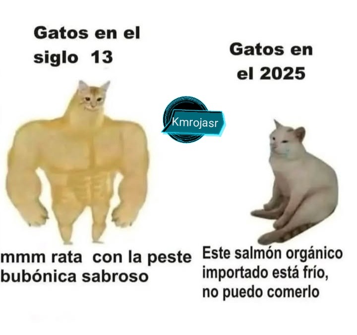 Los Últimos Memes :) Memedroid