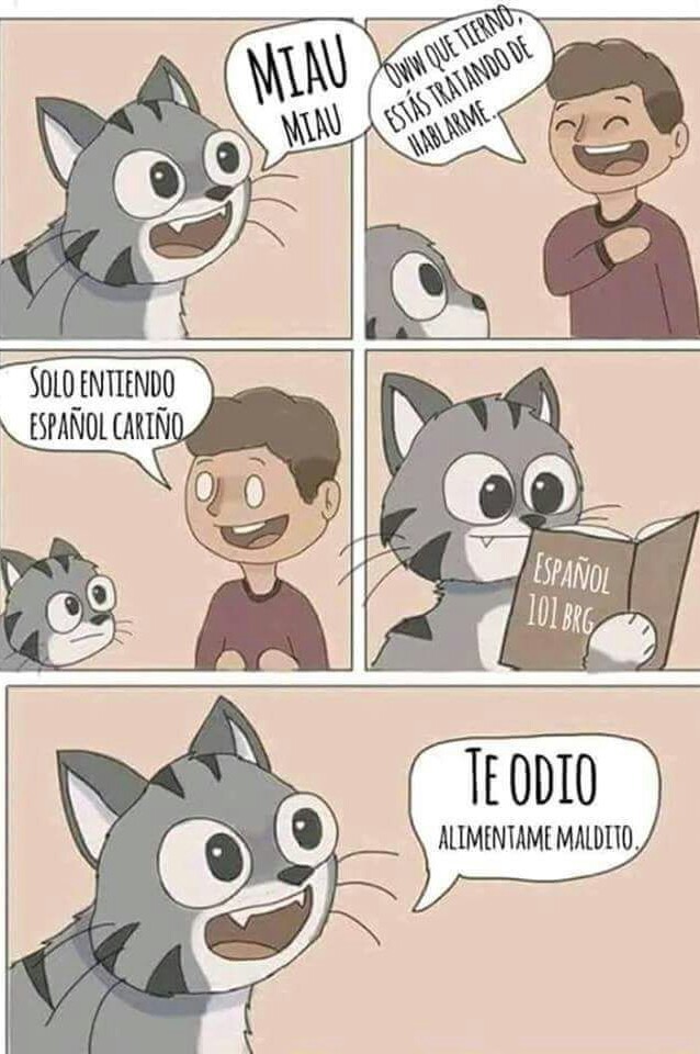 Memes aleatorios :) Memedroid