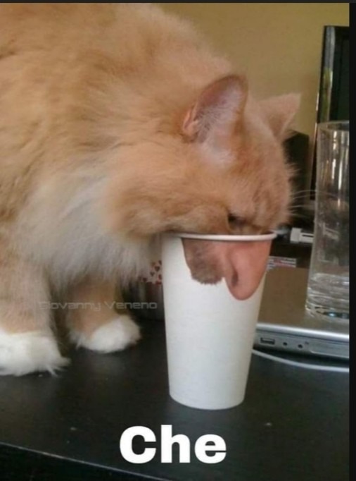 CHE - Meme subido por Notemgononbre777 :) Memedroid
