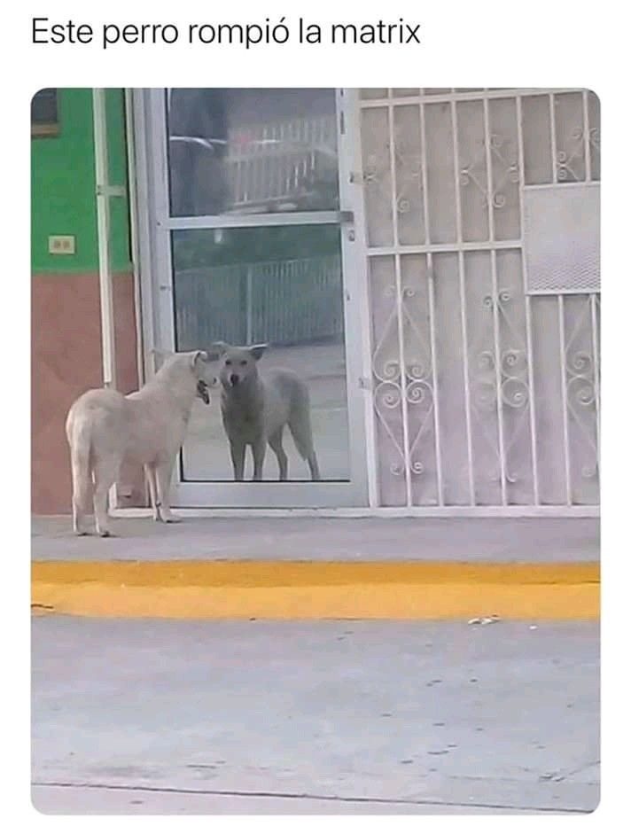 Los mejores memes de la semana en español :) Memedroid