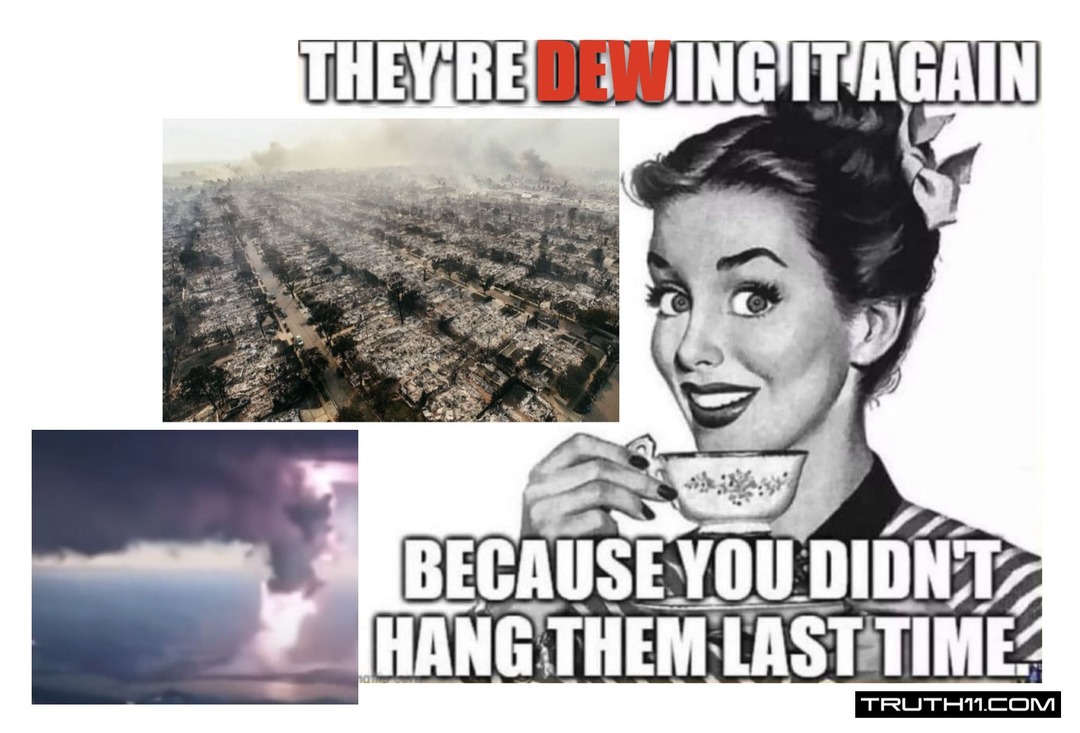 The Latest Memes Memedroid
