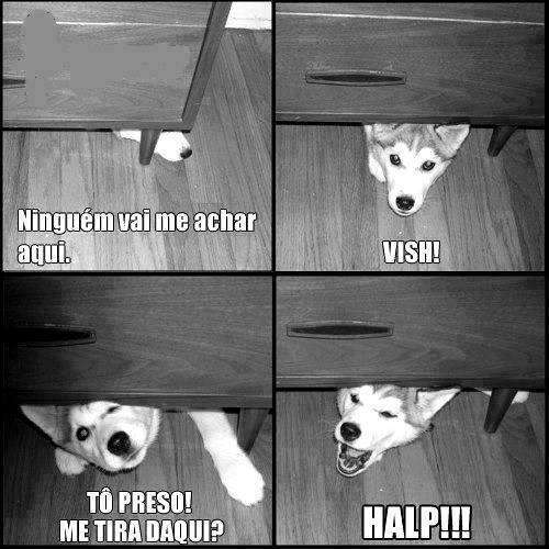 Halp - Meme subido por lukisaopaulo :) Memedroid