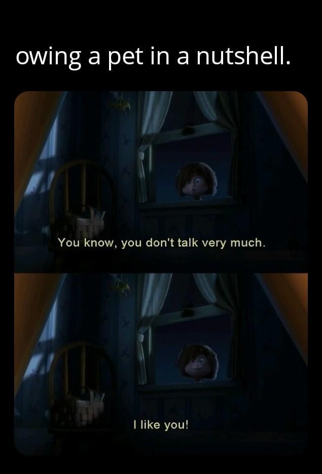 The Latest Memes :) Memedroid