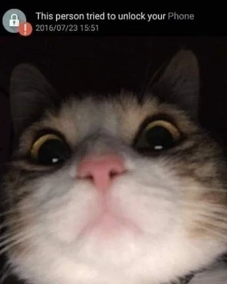 Not again - Meme by ZiggyStarburst :) Memedroid