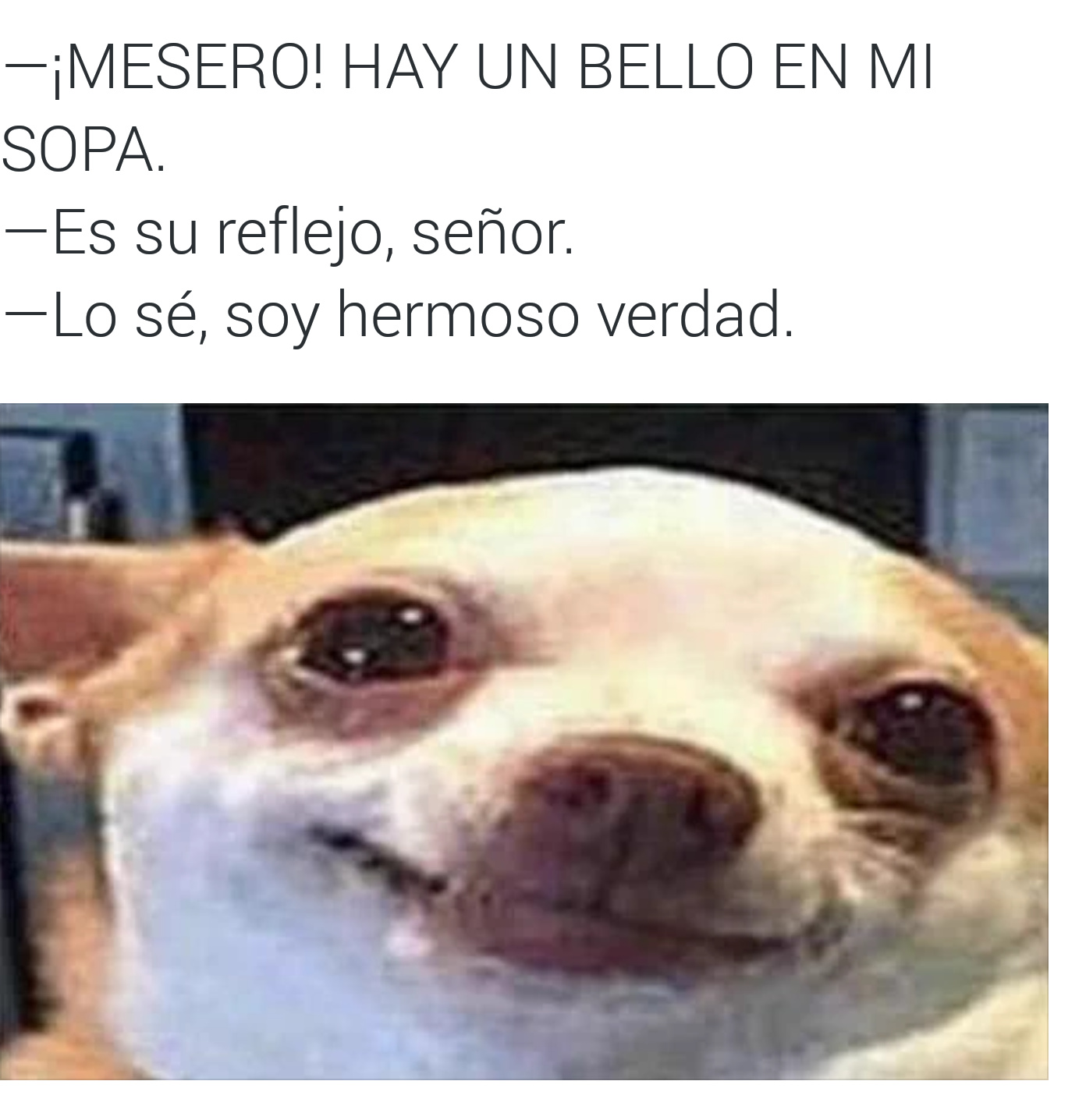 Me Enamora Memes Meme Enamora