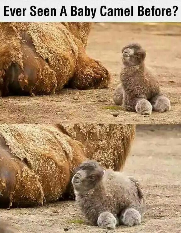 Now you have - Meme by Toni253 :) Memedroid