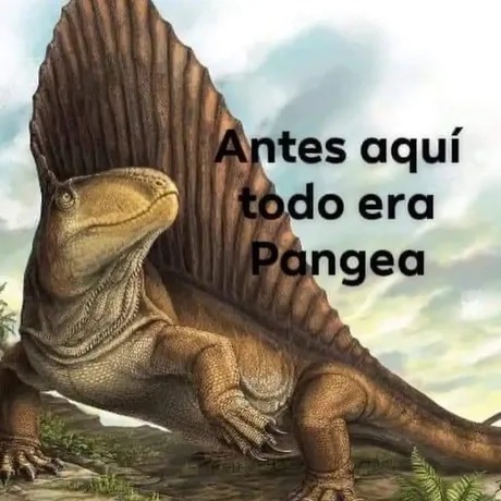 Los Últimos Memes :) Memedroid