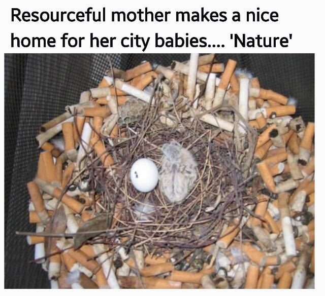 Home Sweet Home - Meme by phantomaniac :) Memedroid