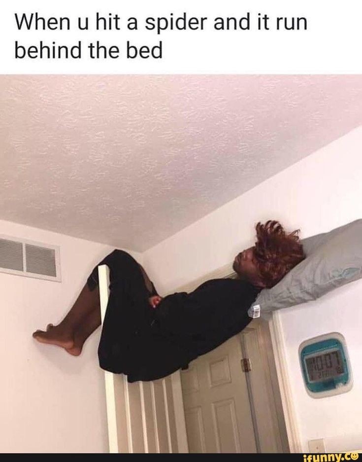 Spider - Meme subido por Tree_Wood :) Memedroid