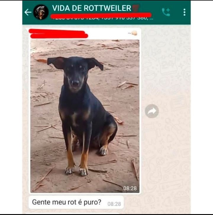 É pow, confia - Meme by Neguim.do.RJ :) Memedroid