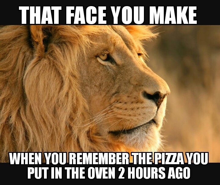 The best original meme memes :) Memedroid