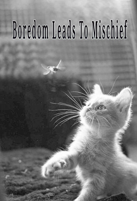 Bored - Meme by razn :) Memedroid