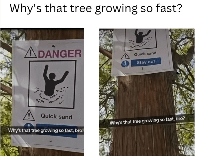The best Tree memes :) Memedroid