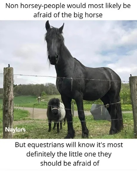 Latest memes / New memes :) Memedroid