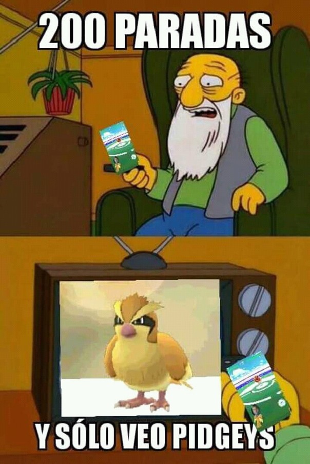 Puto pidgey - Meme subido por Elfranco2118 :) Memedroid